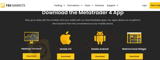 FBK Markets Spreads, leverage, minimum deposit Revealed-WikiFX